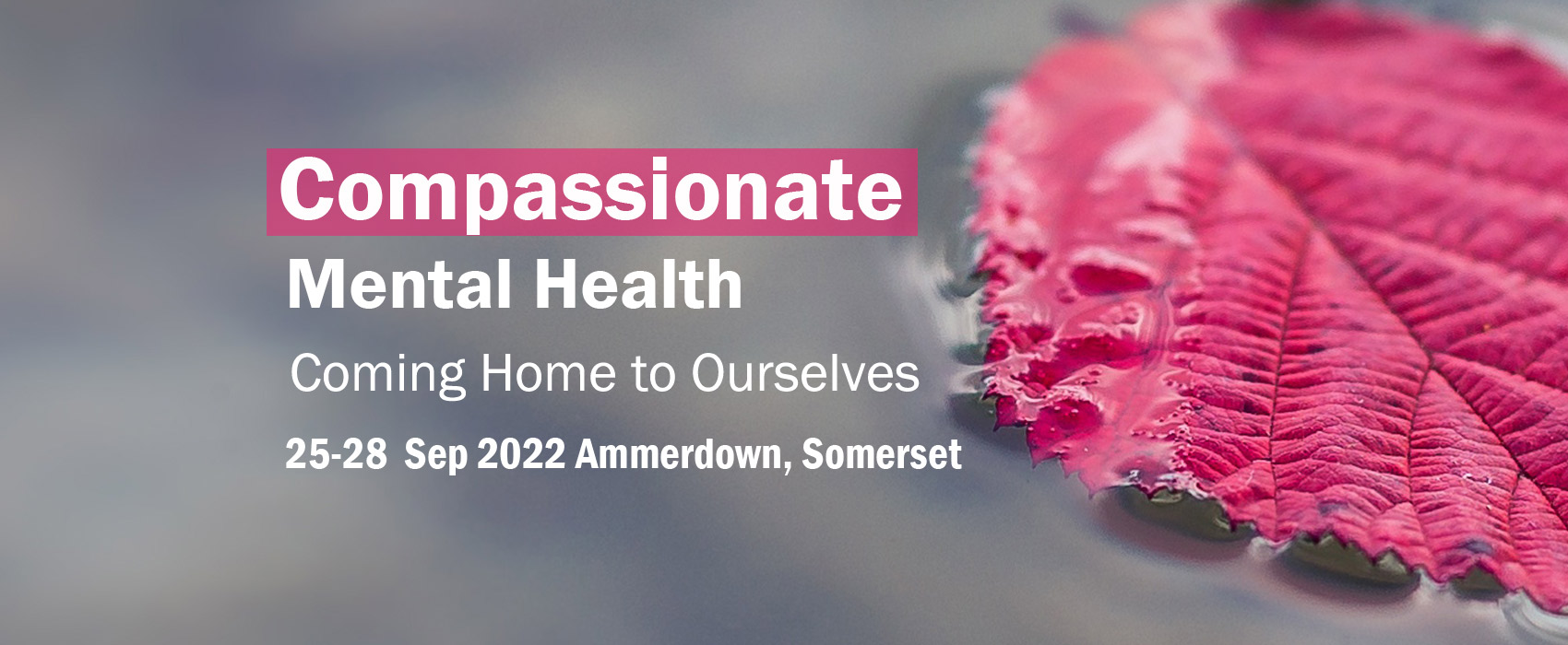 Upcoming Events - Compassionate Mental Health