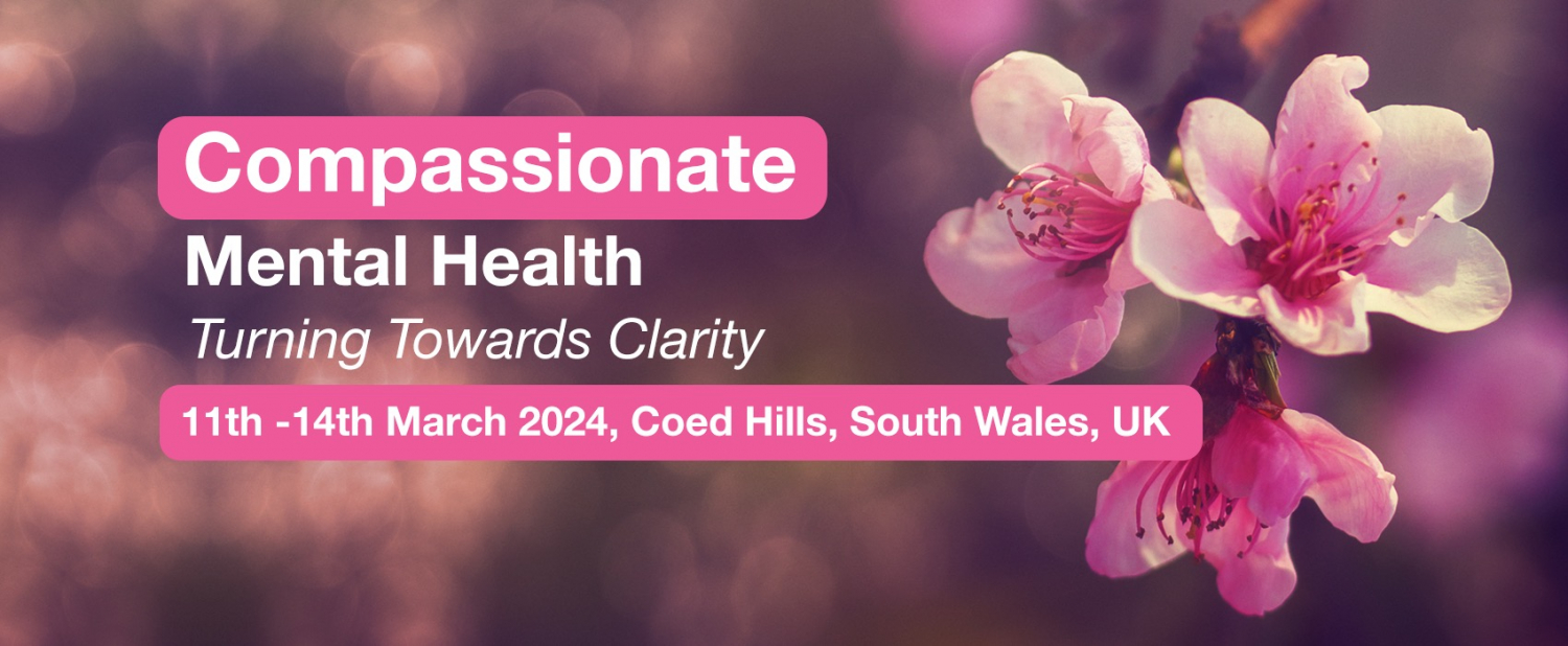 Not Just a Dream: Finding the Mental Health Community I’d Been Longing ...